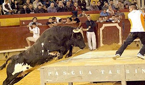 El sangriento currículum del toro 'Ratón' - Libertad Digital