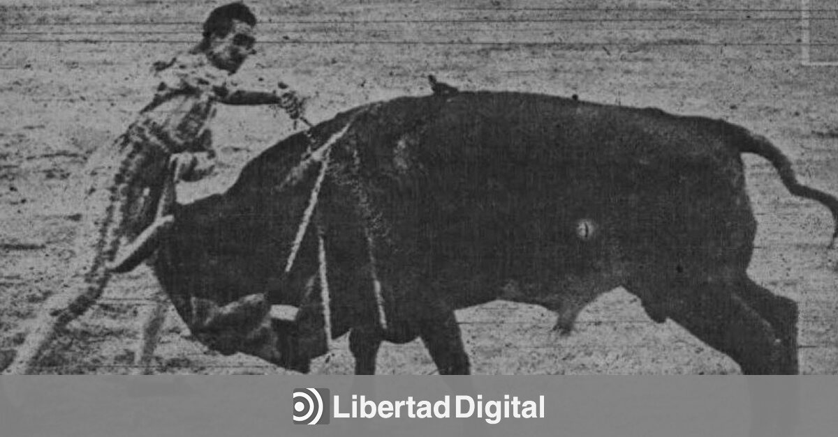 Toros que han hecho historia - Libertad Digital