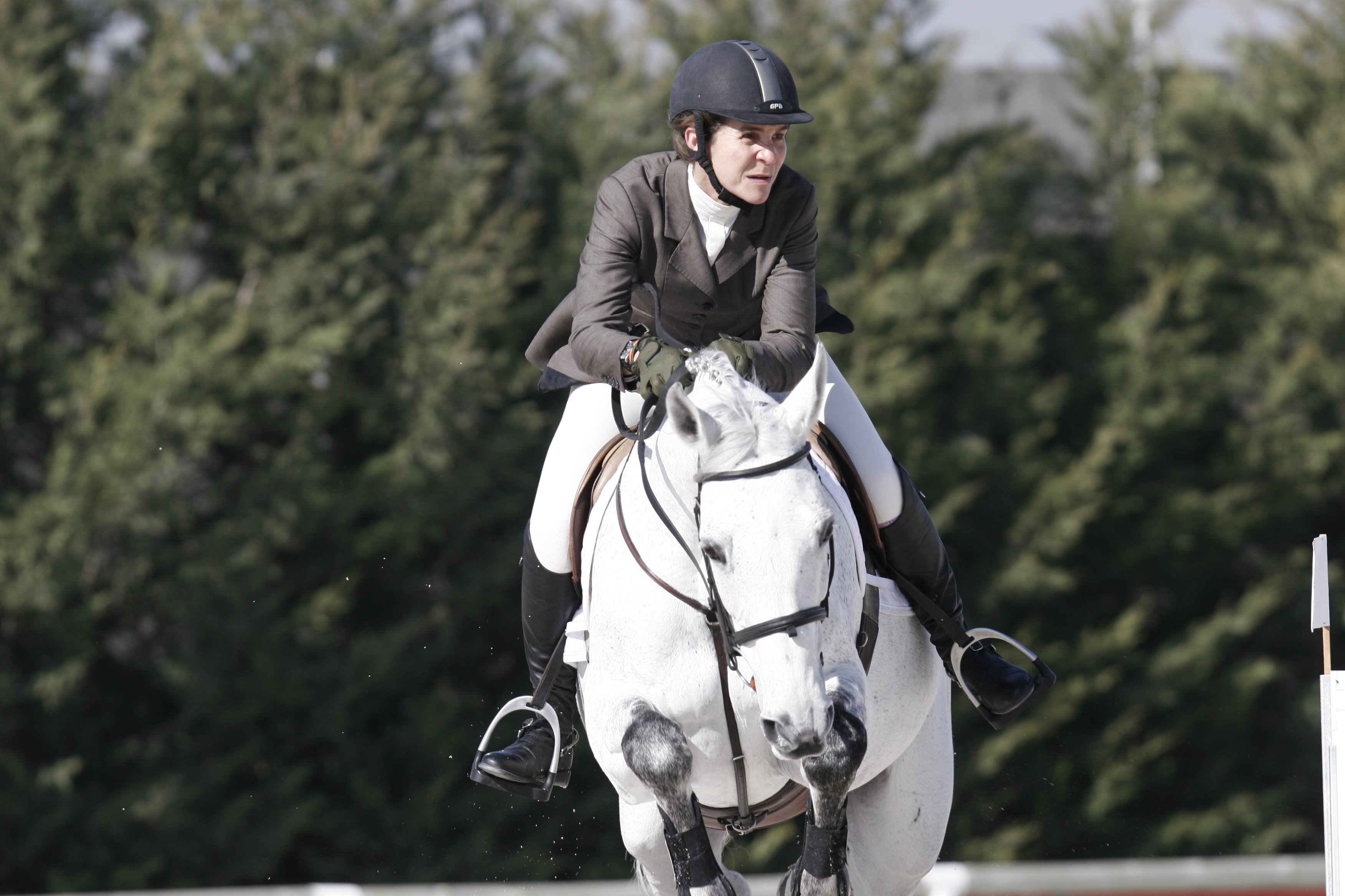 Mascotas Reales - Chic