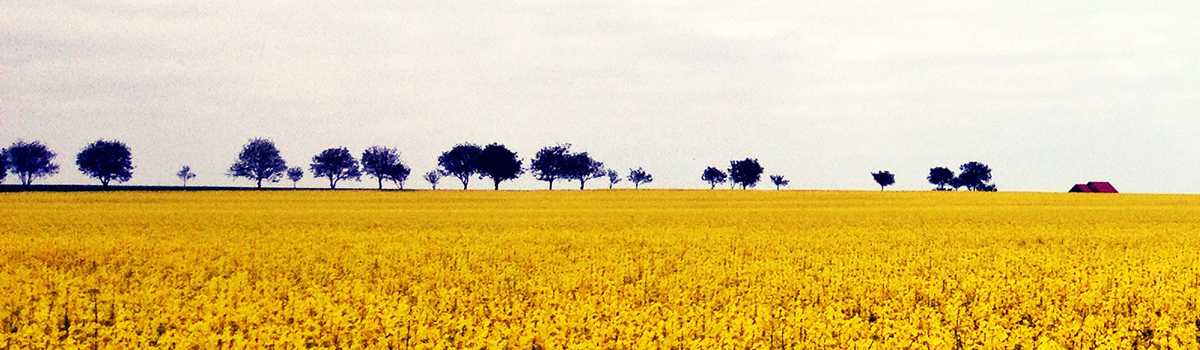 Las mejores fotografías con iPhone del año - Libertad Digital - Cultura