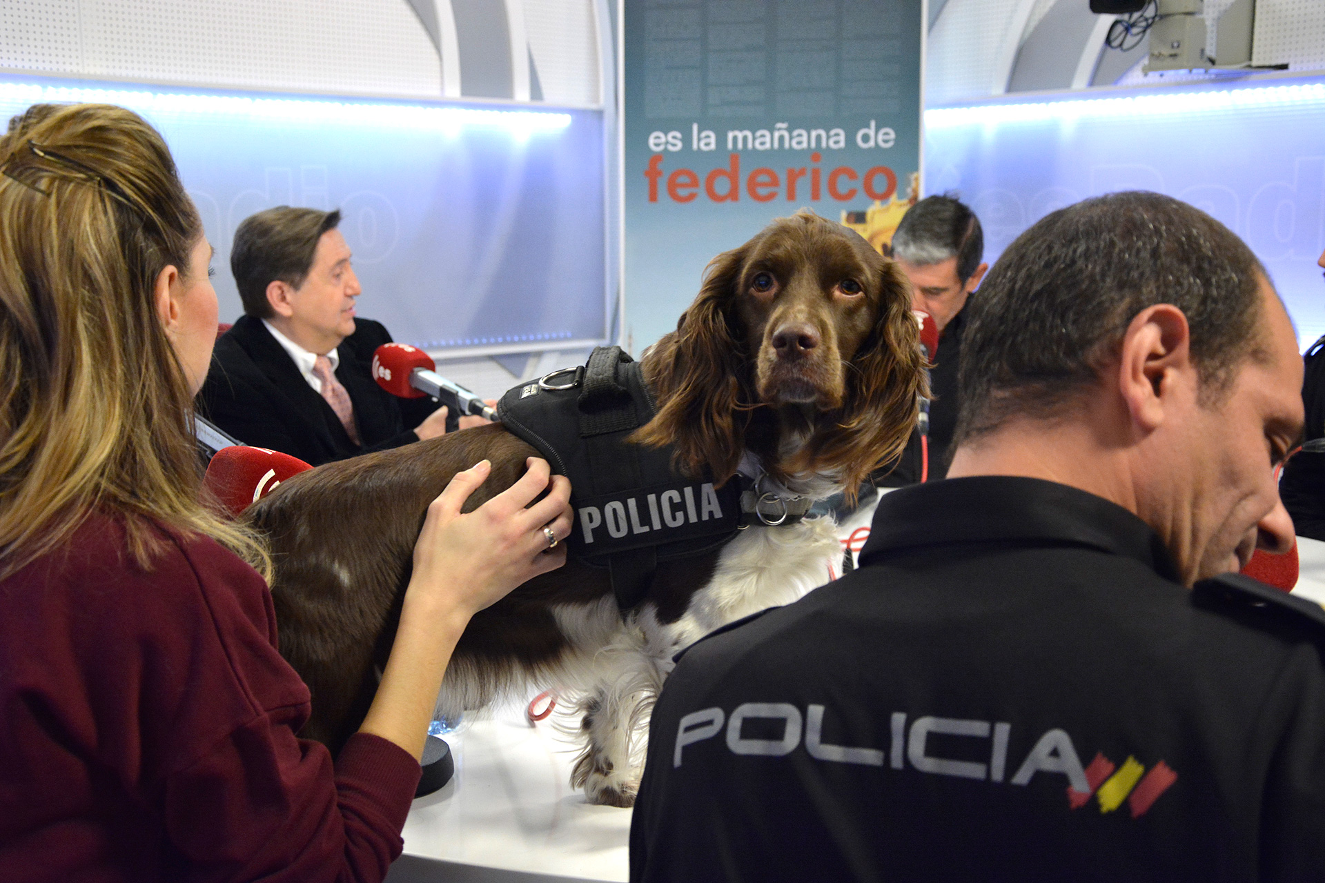 Perros policía en 'Es la Mañana de Federico' - Chic