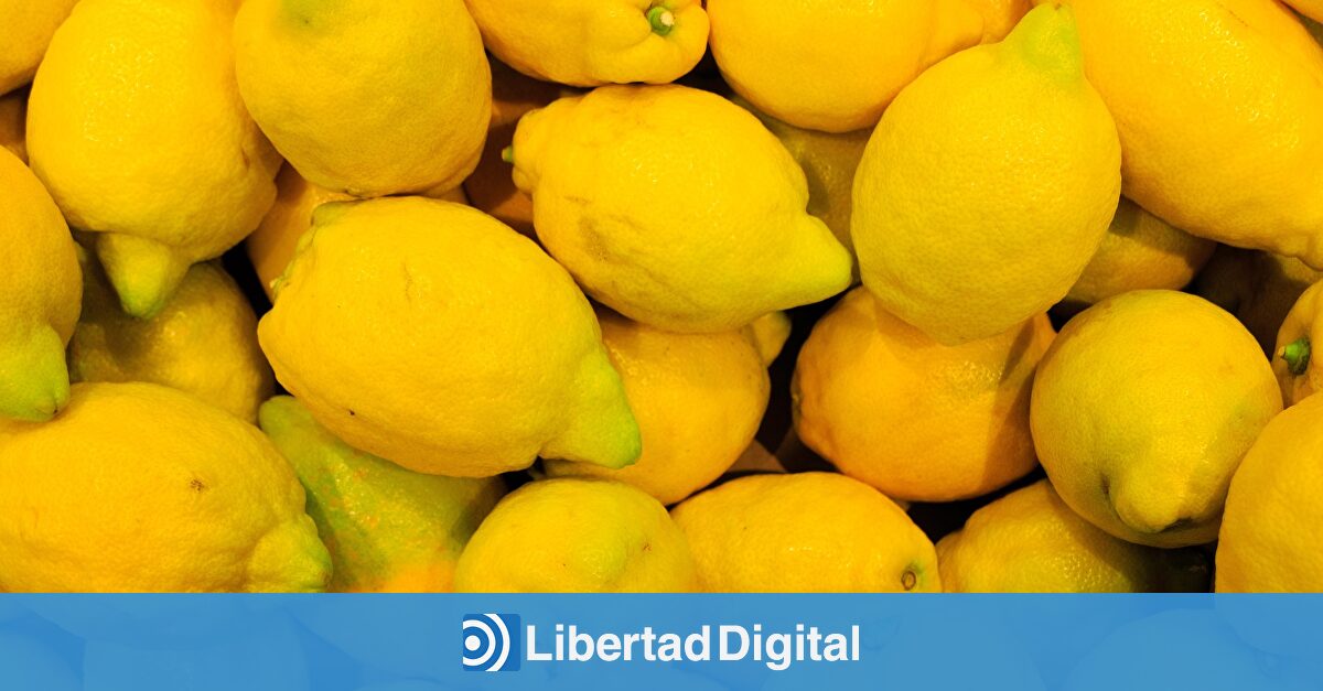 ¿Se puede comer limón a diario? ¿Es malo para el organismo?