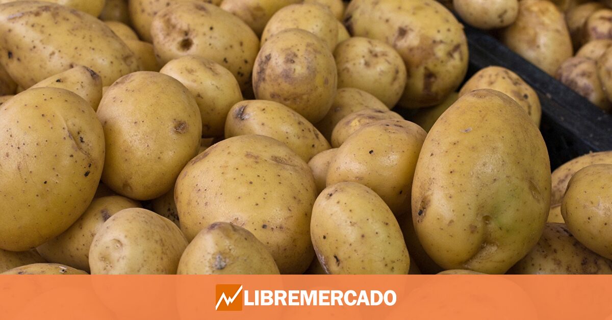¿Por qué ha subido el precio de las patatas en España? - Libre Mercado