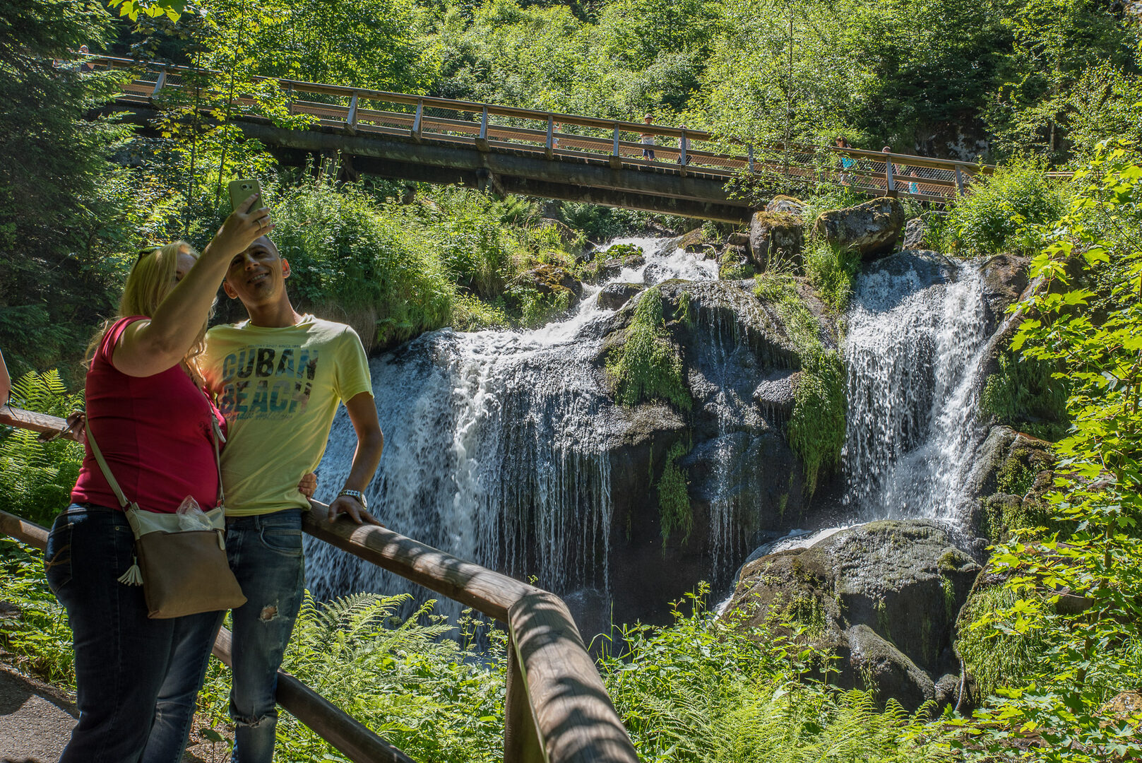 Naturaleza y mercado: soluciones imaginativas para cuidar de verdad el ...