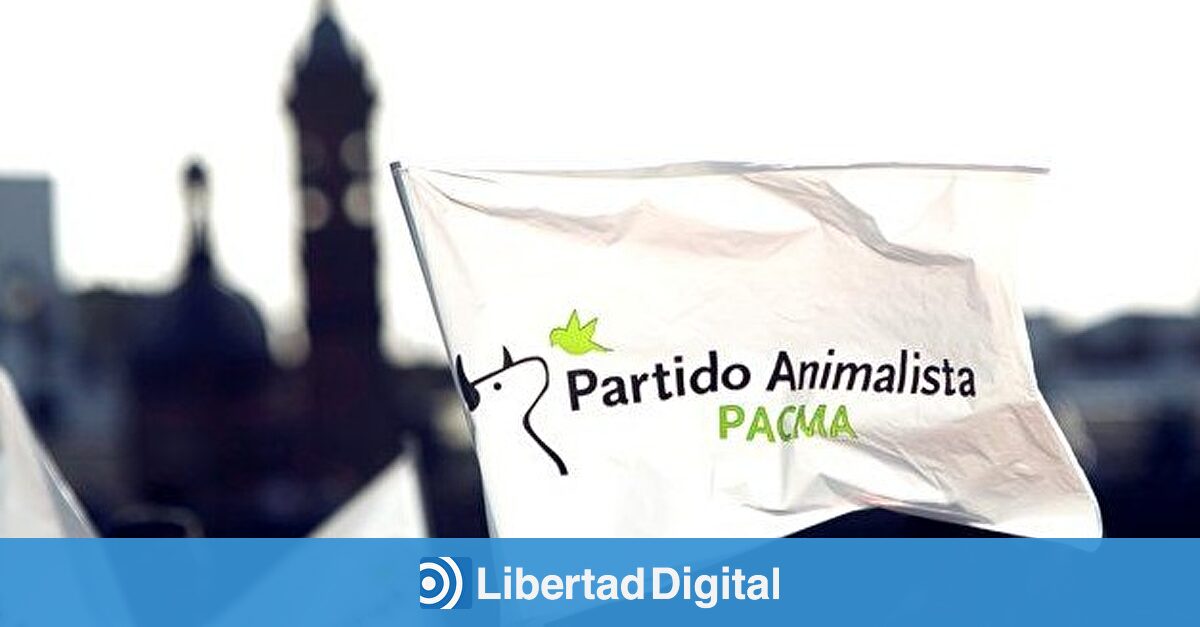 PACMA centra la campaña en librar a millones de cerdos del "horror" en ...