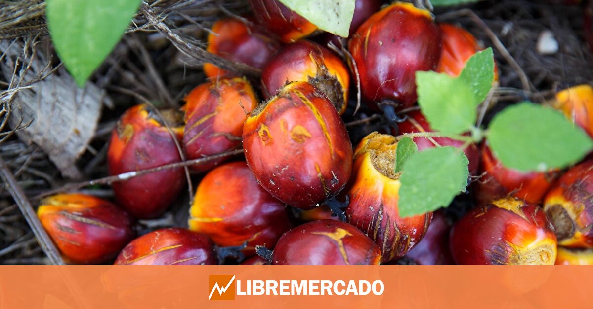 Dónde se produce y para qué se utiliza: 10 cosas que quizá no sabías ...