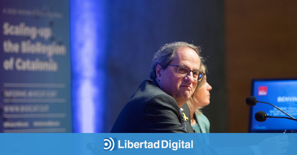 Nuestra debilidad es su fortaleza - Enrique Navarro - Libertad Digital