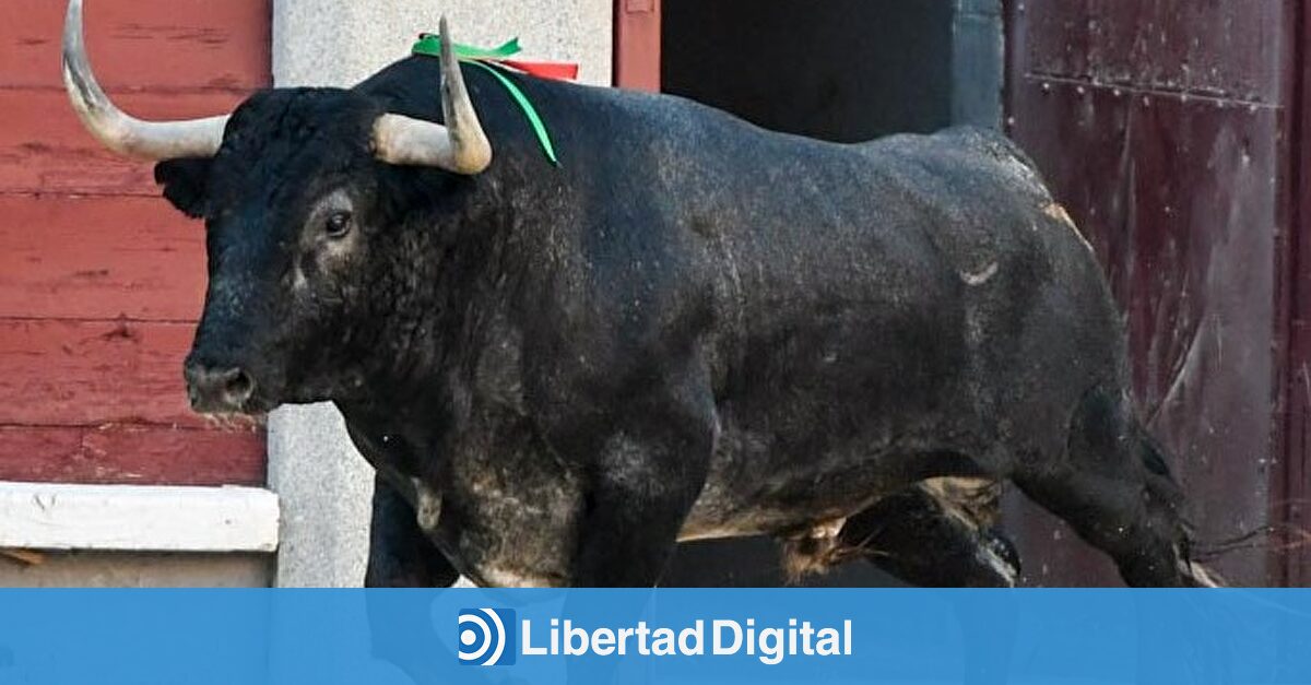 Apuesta torista en el primer tramo de la temporada en Las Ventas: todos ...