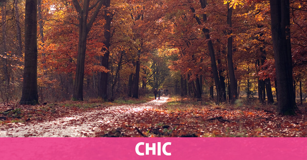 5 destinos en los que dejarse sorprender por los colores del otoño - Chic