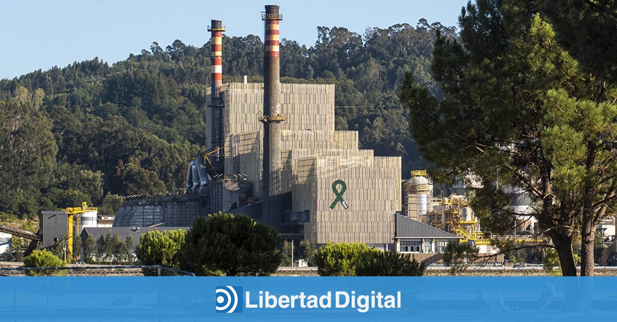 Ence - Noticias, reportajes, vídeos y fotografías - Libertad Digital