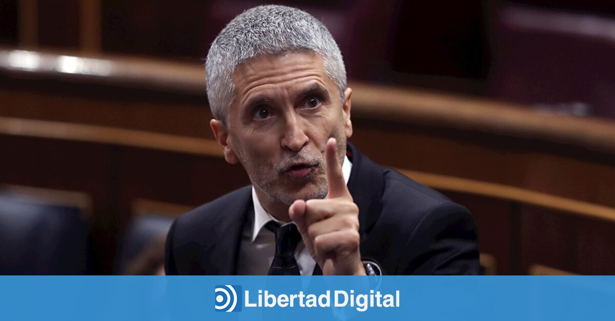 Marlaska se enfrenta a su primera querella en el Supremo por el cese del coronel Pérez de los ...