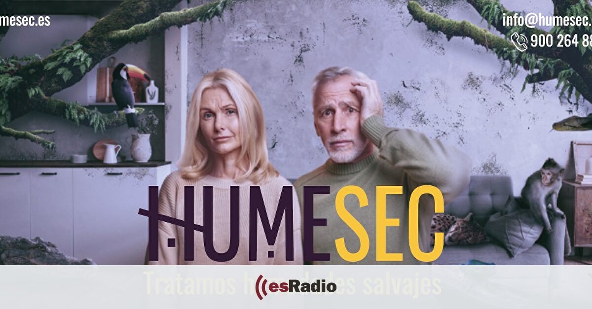 esEmpresa en Galicia. Patrocinado por QARONÍ Digital Business - esRadio