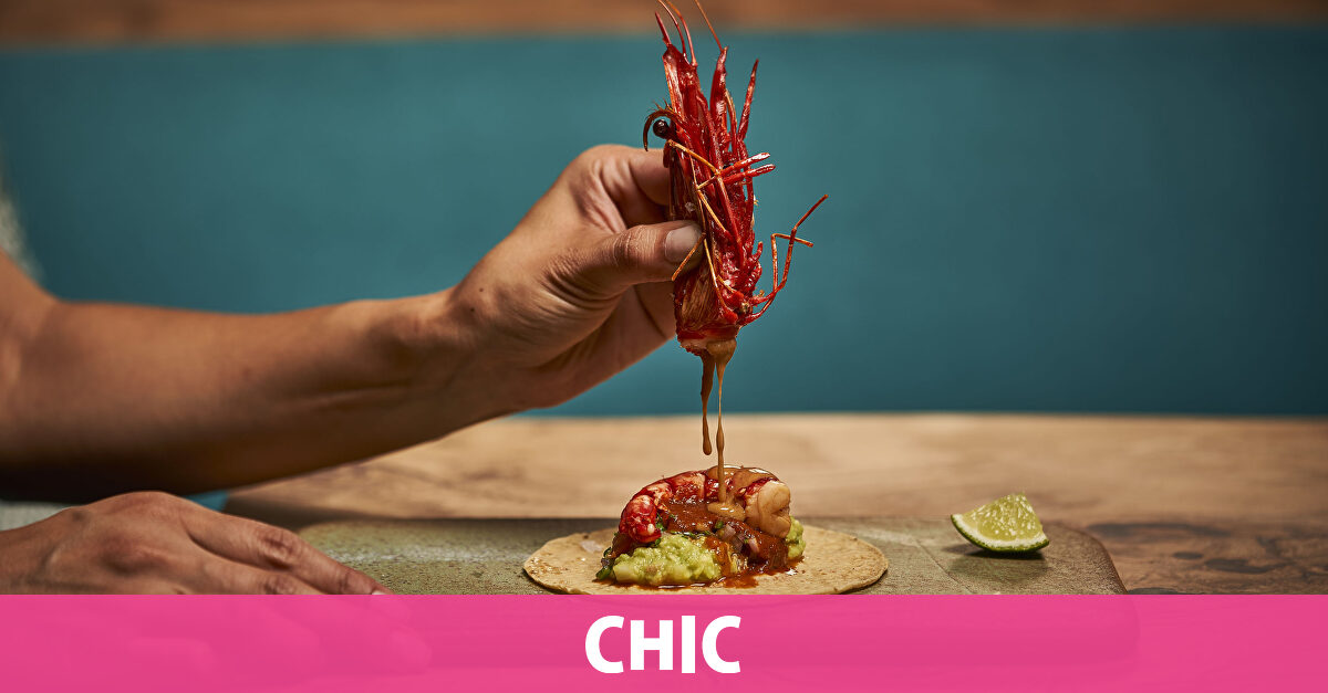 Mantarraya MX, la mejor experiencia de cocina mexicana