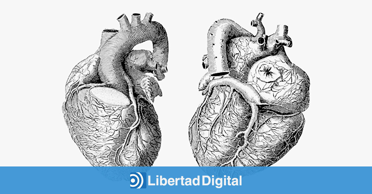 Curiosidades sobre el órgano del corazón