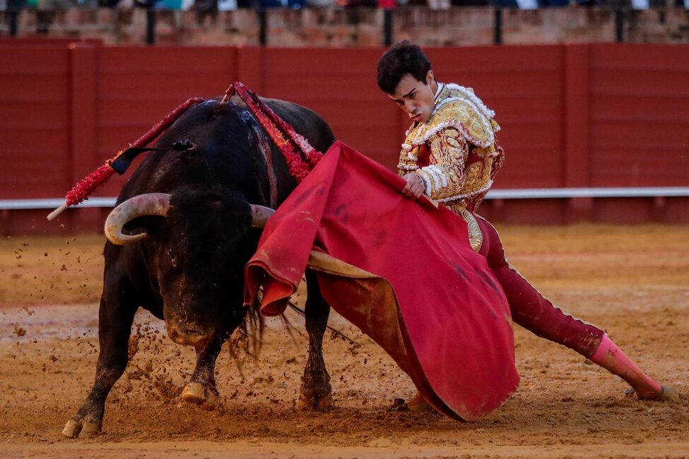 Tomás Rufo: "Hay momentos que la gente se olvida de que un toro coge y ...