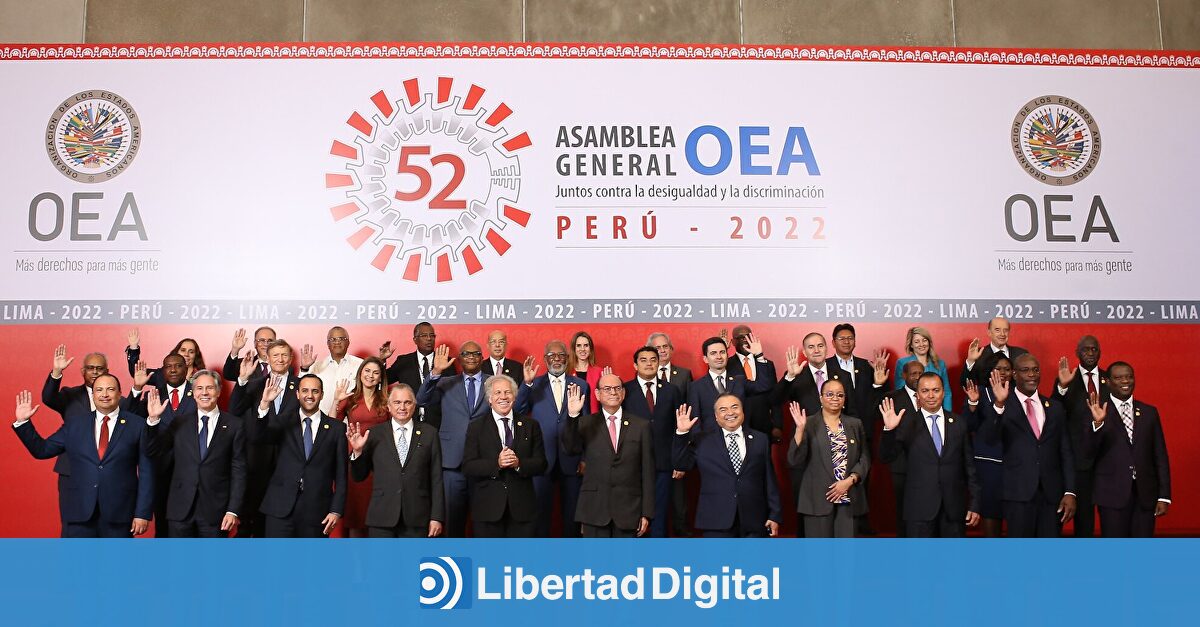 Argentina, México y Brasil no suscriben una declaración de la OEA para condenar a Rusia ...