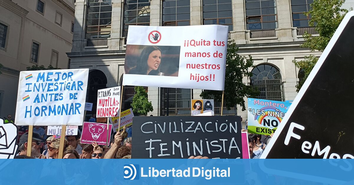 Las cinco razones por las que las profesoras feministas aplauden la ...