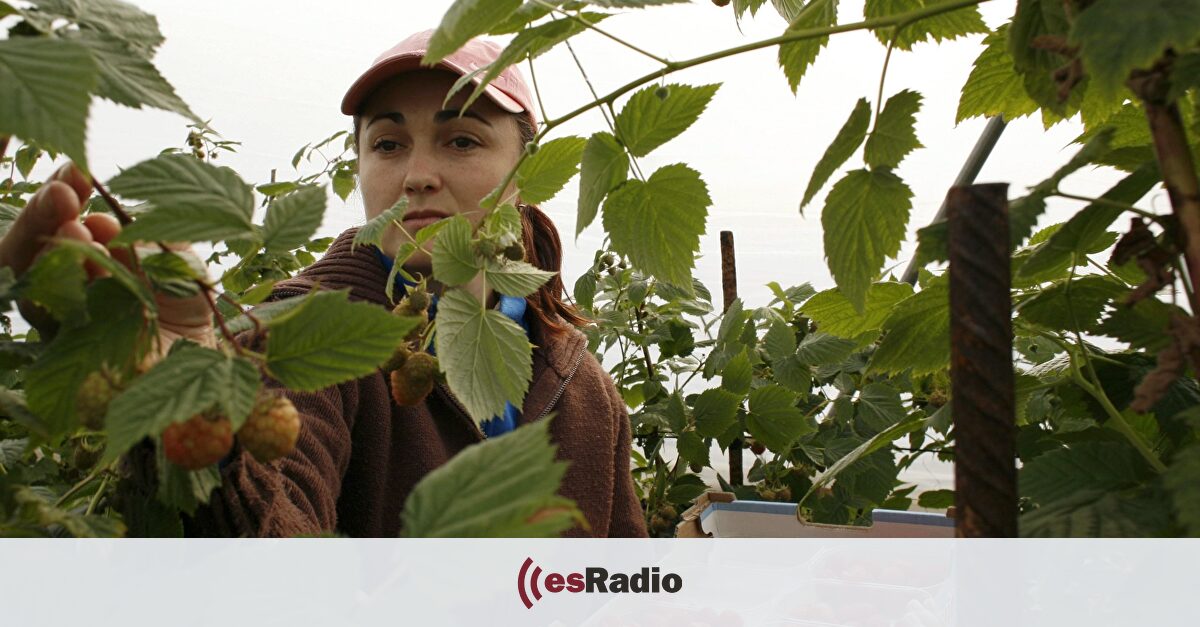 En Clave Rural: Día Internacional de la mujer rural - esRadio
