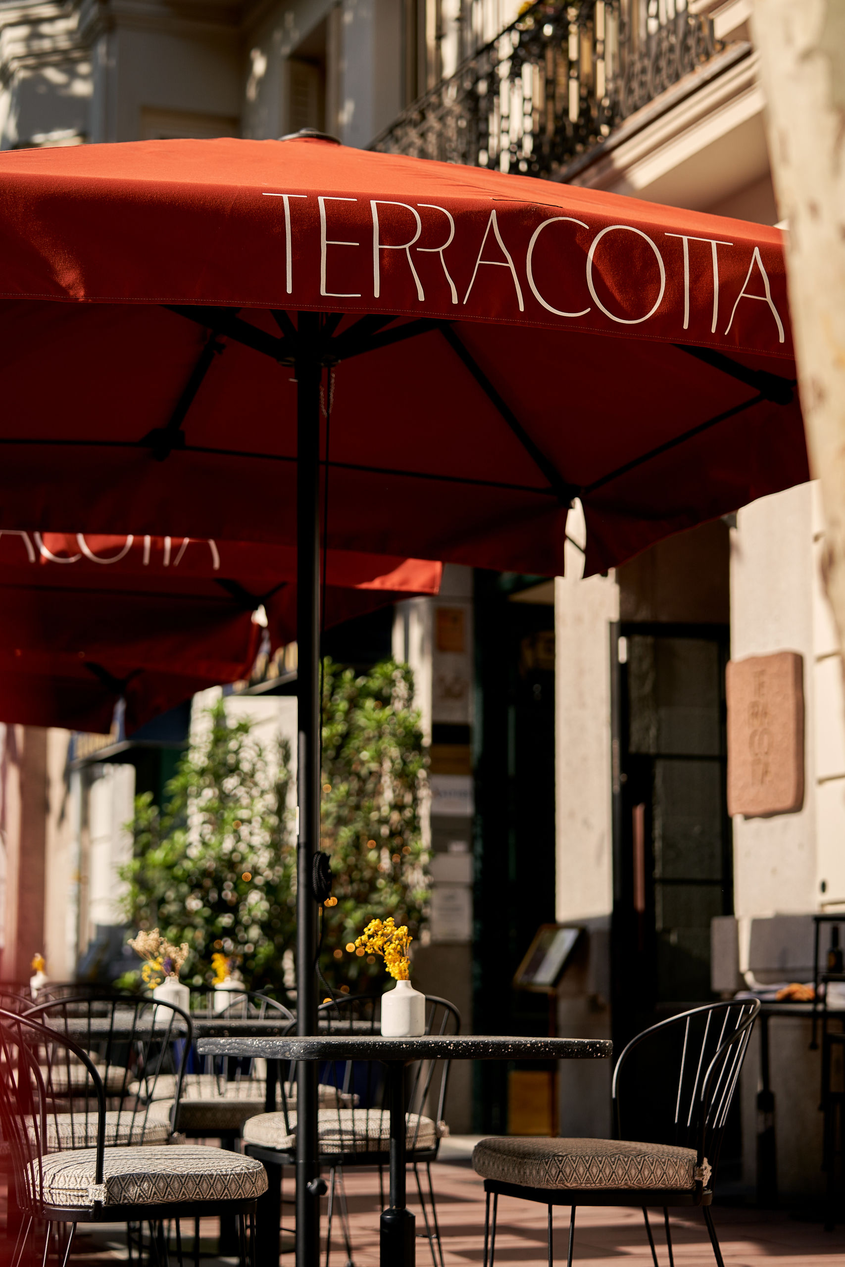 Terracotta, otro restaurante de moda con buena cocina tradicional ...
