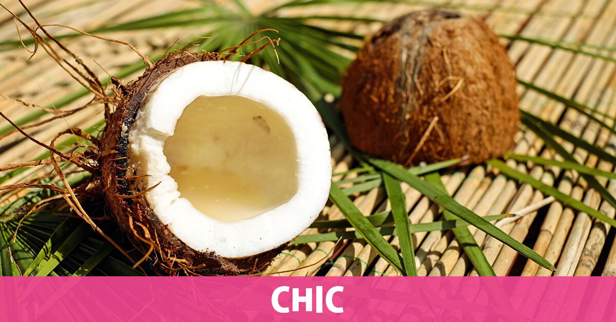 ¿Qué puedes hacer con la cáscara del coco?