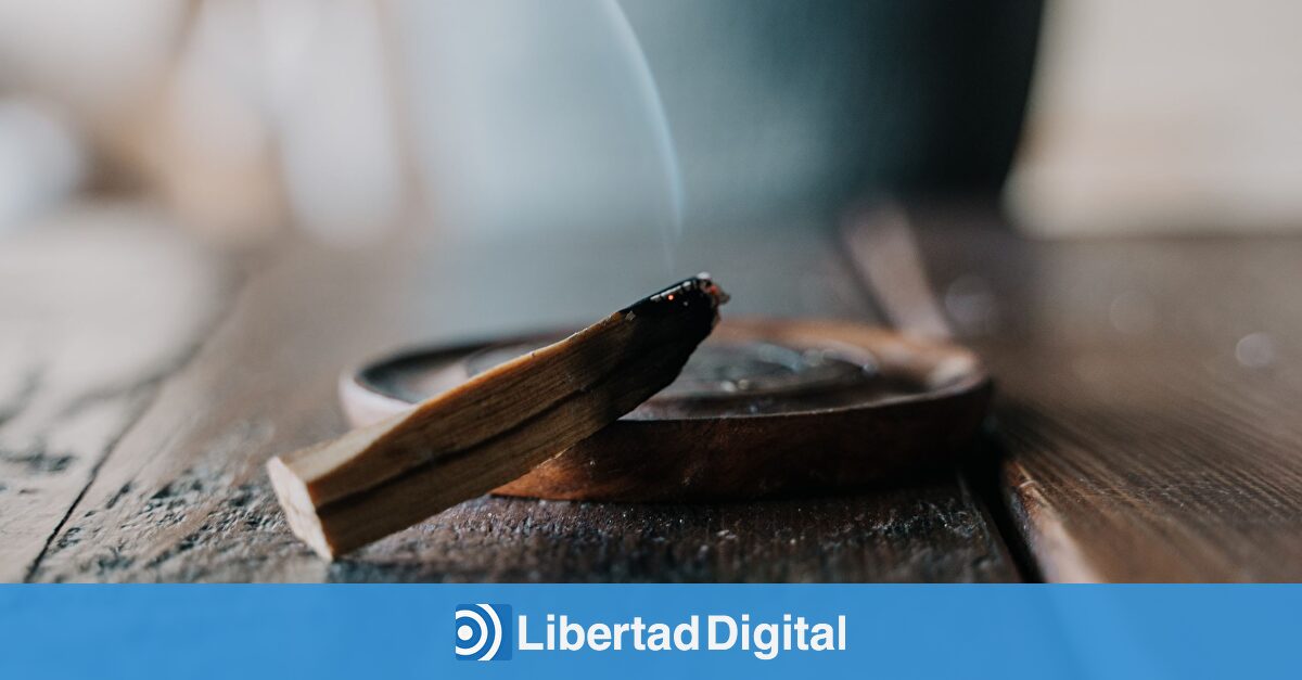 ¿Cuáles son los beneficios del Palo santo?