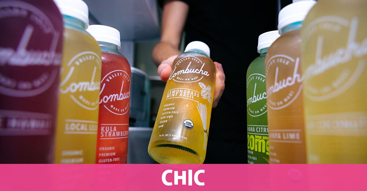 ¿Qué es la kombucha? La bebida del momento