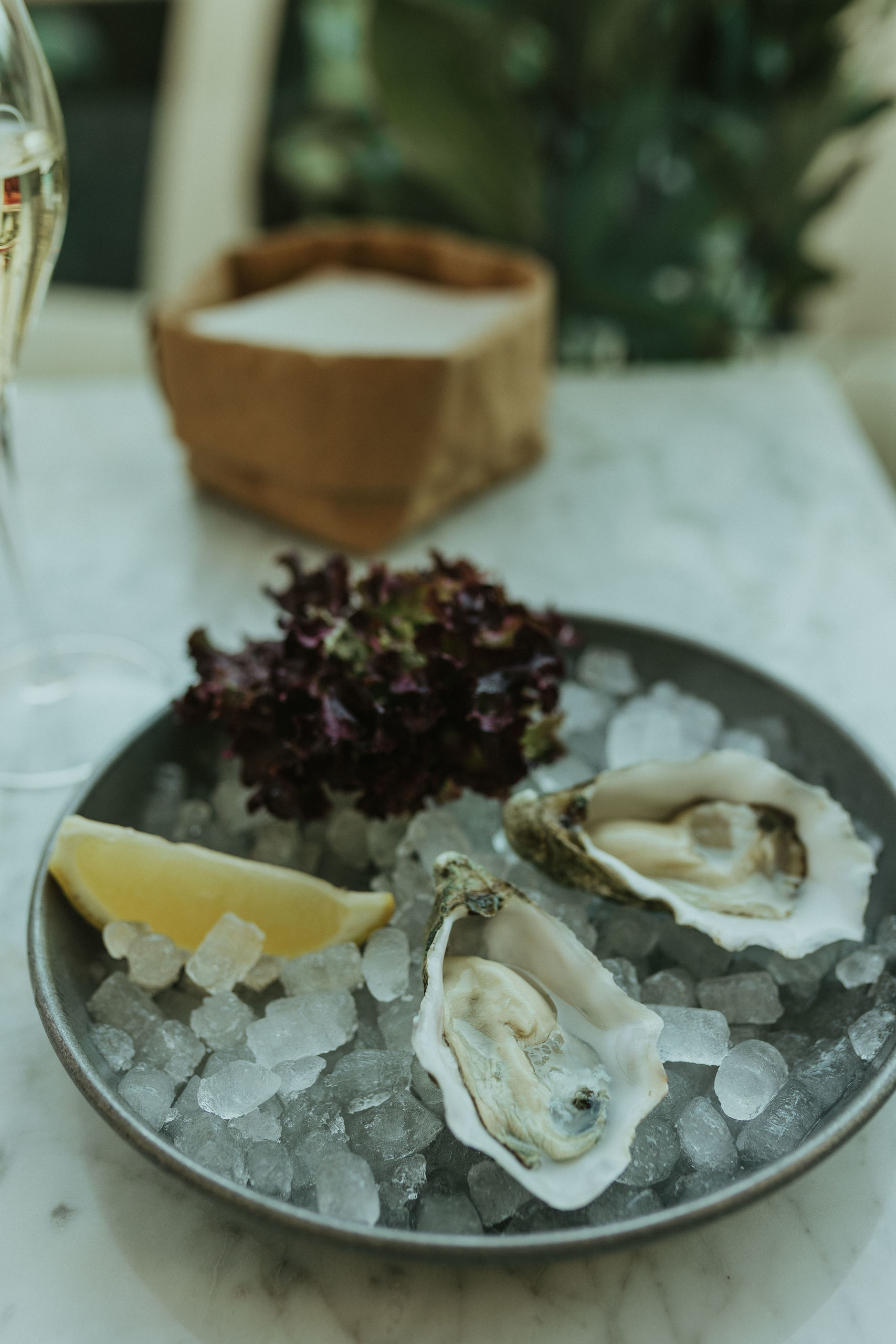 Bareto es cerveza fría y tapas en un local histórico - Chic