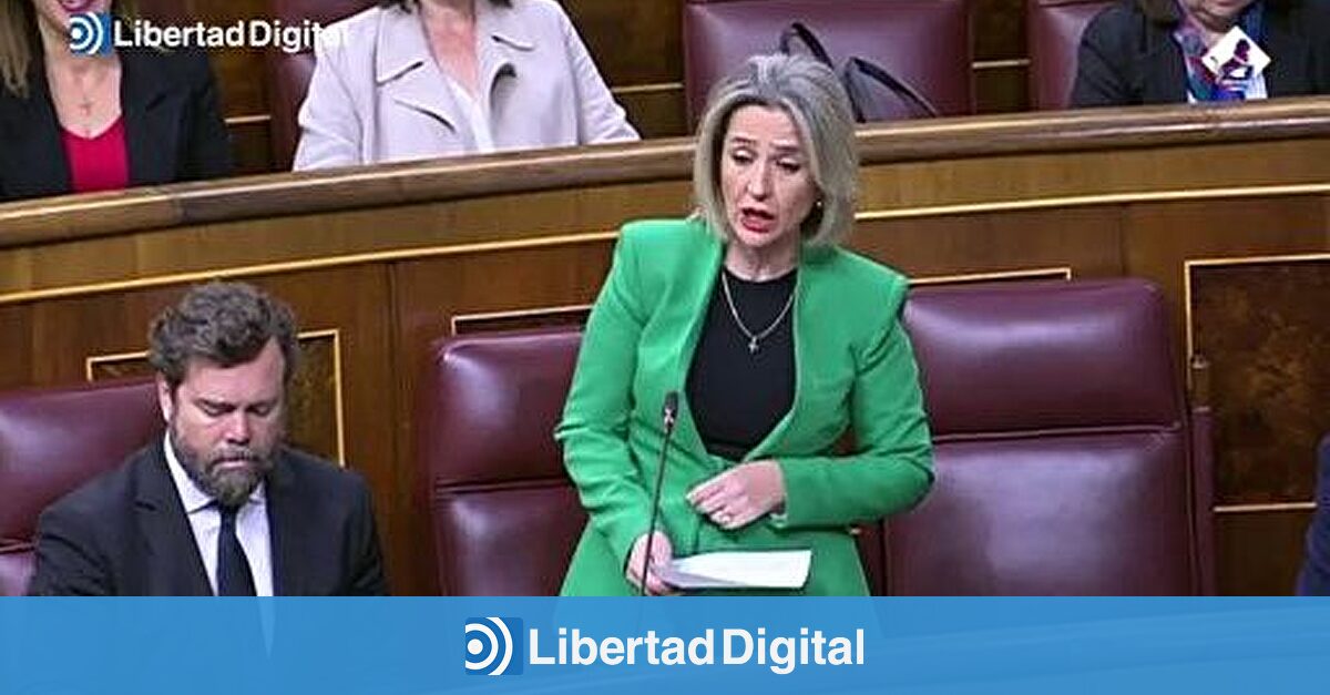 Diputada de Vox: "Ustedes han endeudado en más de 5.000€ a cada español ...