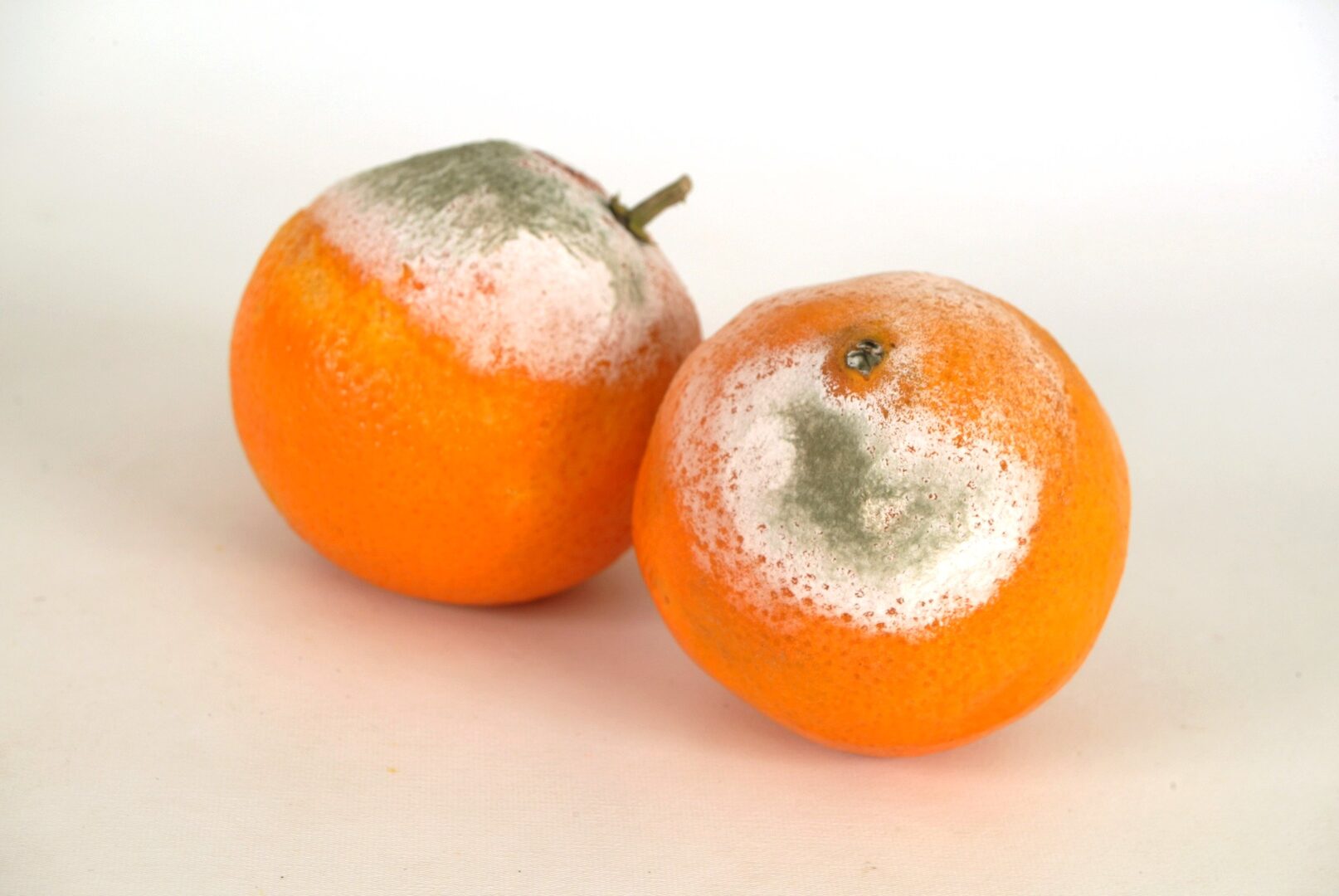 ¿Cómo saber si un alimento no es apto para el consumo?