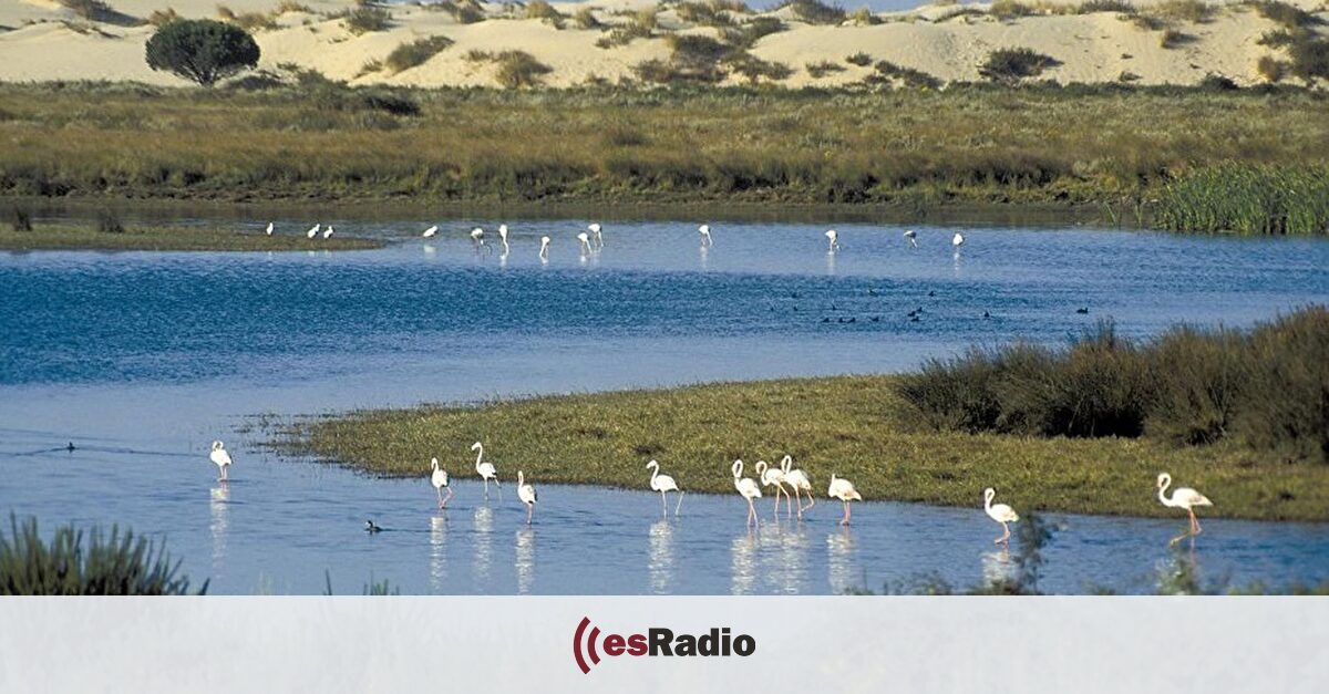 Es La Mañana de Fin de Semana: ¿Qué pasa realmente en el santuario de ...