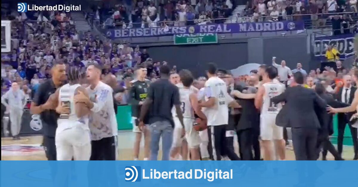 Imágenes exclusivas de la grave trifulca en el Real Madrid-Partizan ...
