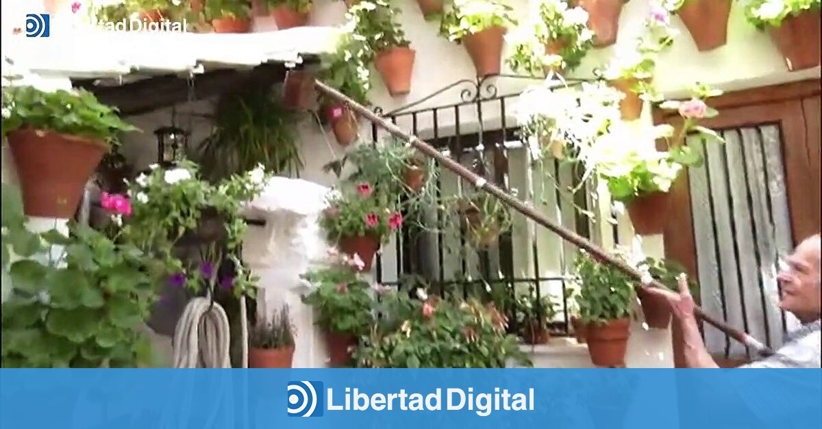 Lleno total en los coloridos patios de Córdoba - Libertad Digital