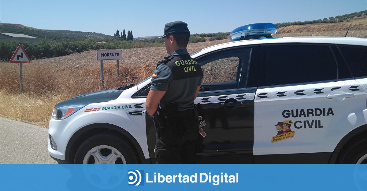 Marlaska a la caza de multas de tráfico: revienta los turnos de verano ...