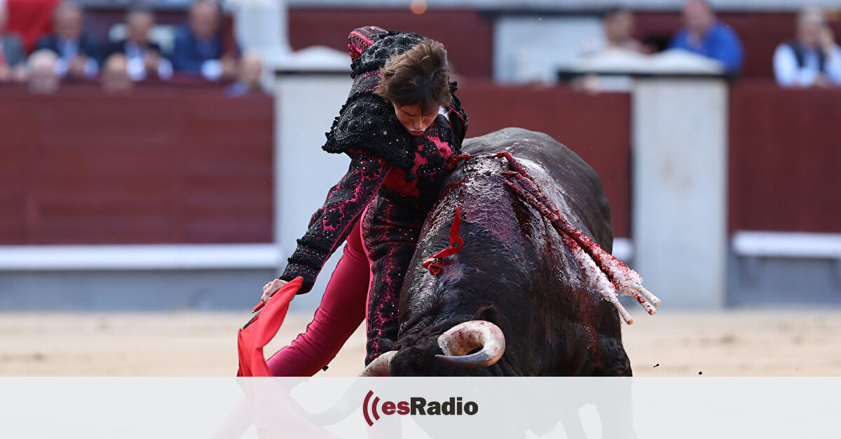 Los Toros: Federico y Amorós, al alimón. ¿Qué camino quiere tomar Roca ...