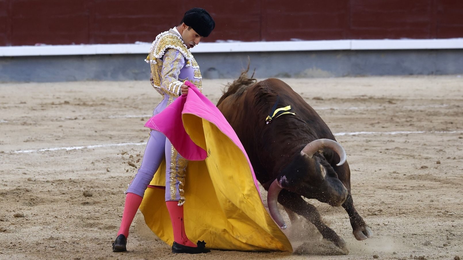 Jaque al toro: Podemos pide a PACMA que se aparte en las generales a ...