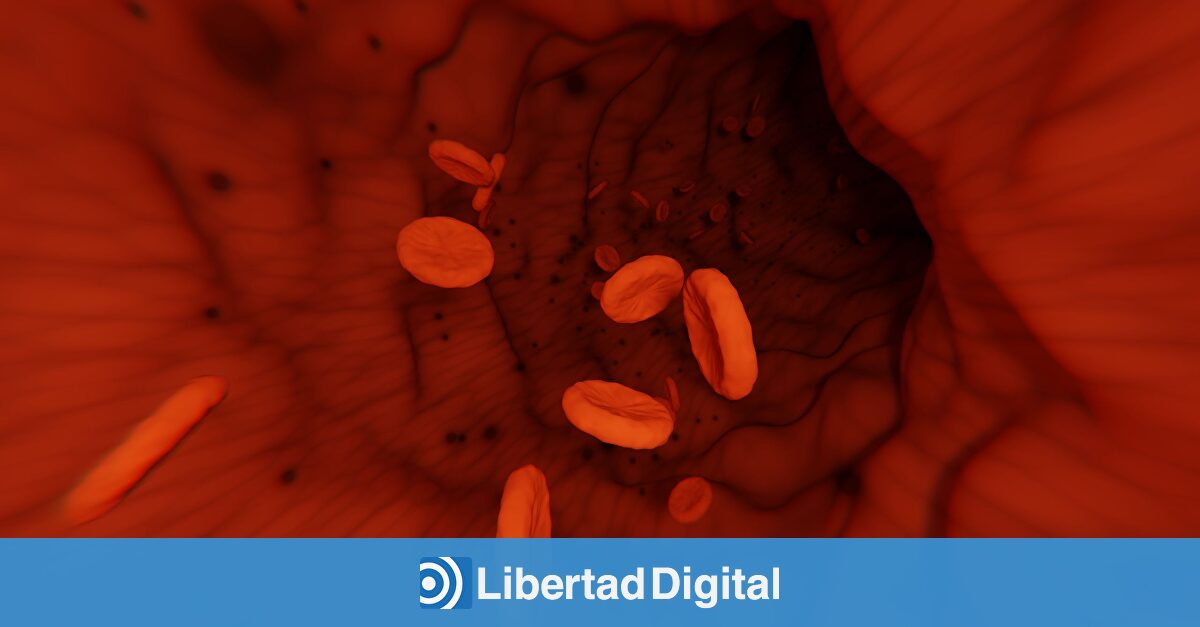 Las Plaquetas En El Cuerpo Humano Gráficos De Plaquetas Realistas Que