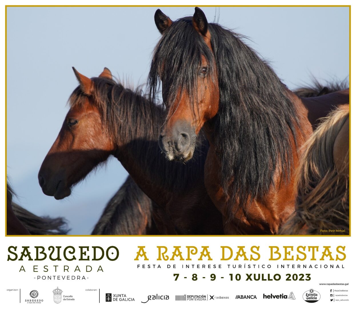 La Rapa das Bestas de Sabucedo se celebra este fin de semana - esRadio La Rapa das Bestas de Sabucedo se celebra este fin de semana - esRadio