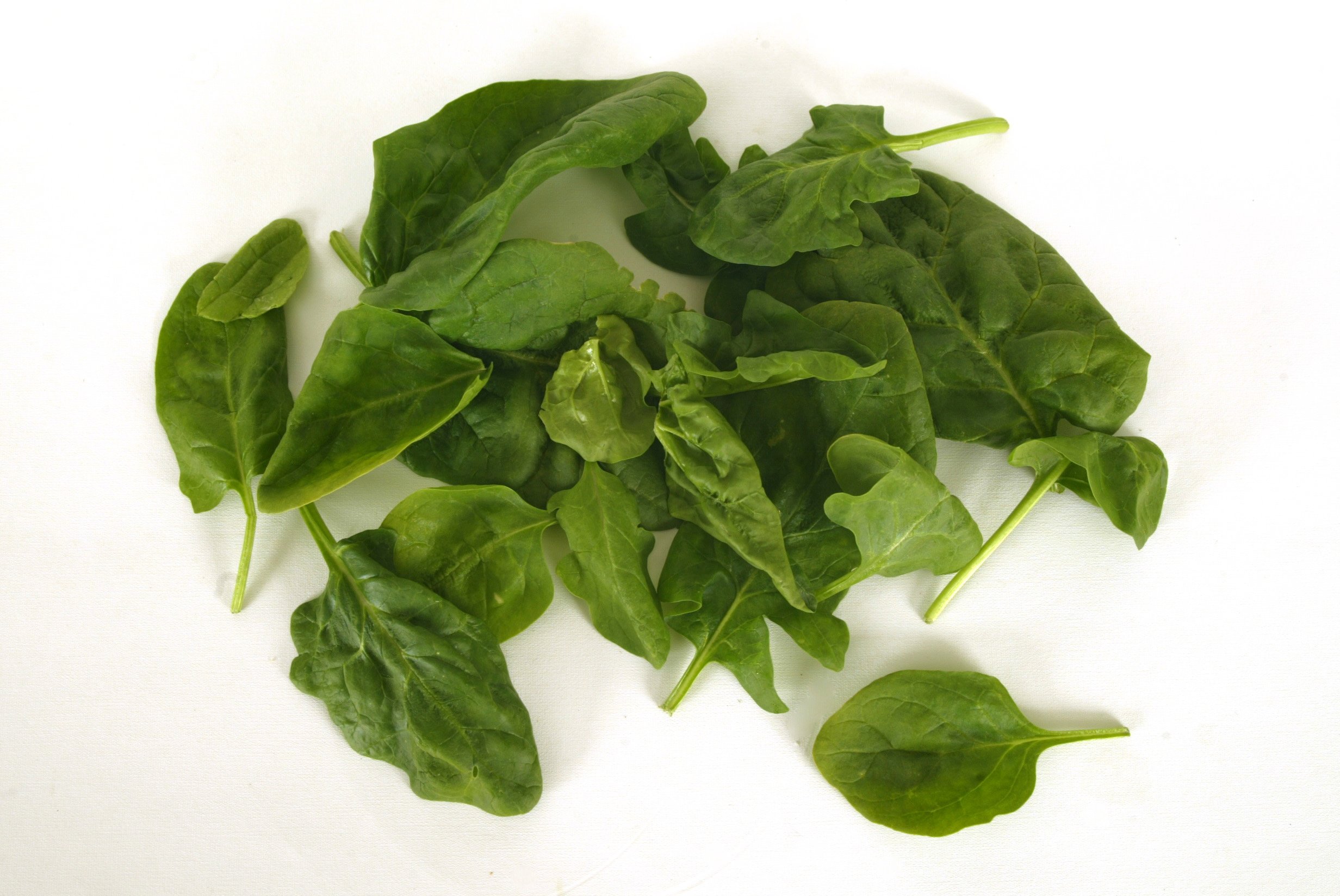 Estos son los alimentos para tener un pelo más sano - Chic