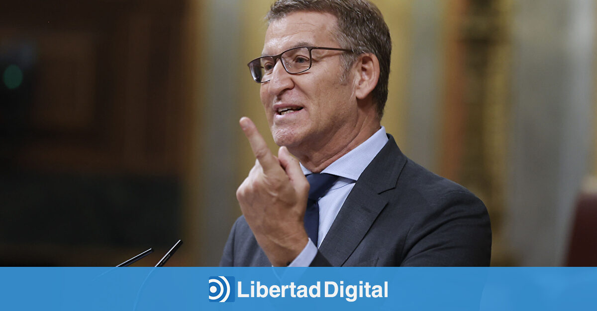 Feijóo pregunta al PNV si continuará siendo "clínex" de Sánchez ...