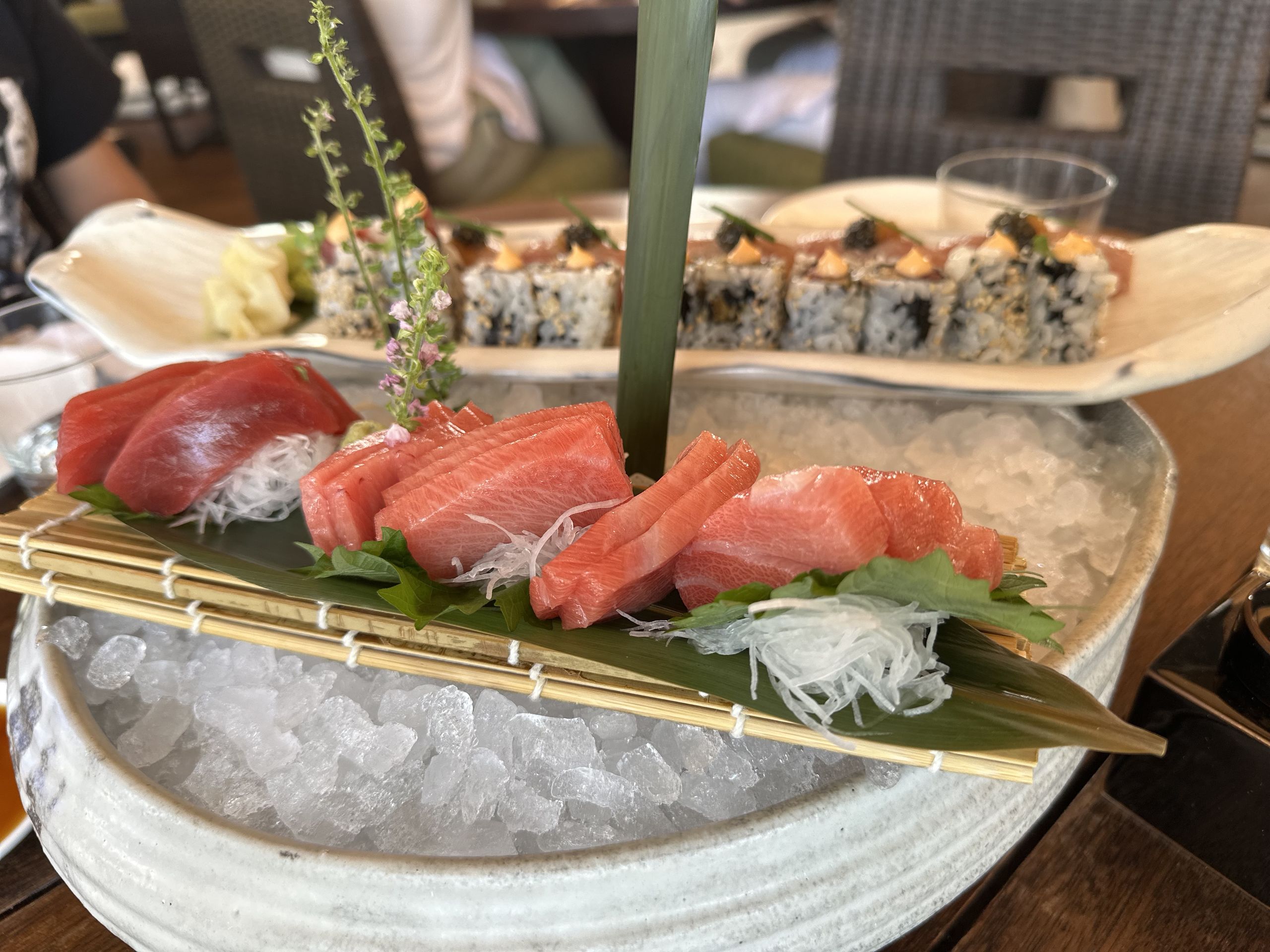 Todo lo que tienes que saber sobre el roqueo de atún y el menú ...