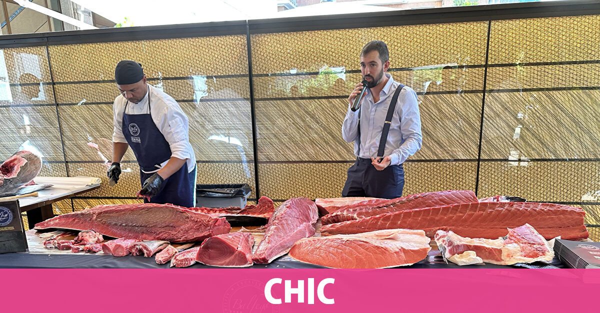 Todo lo que tienes que saber sobre el ronqueo de atún y cómo gozarlo en ...