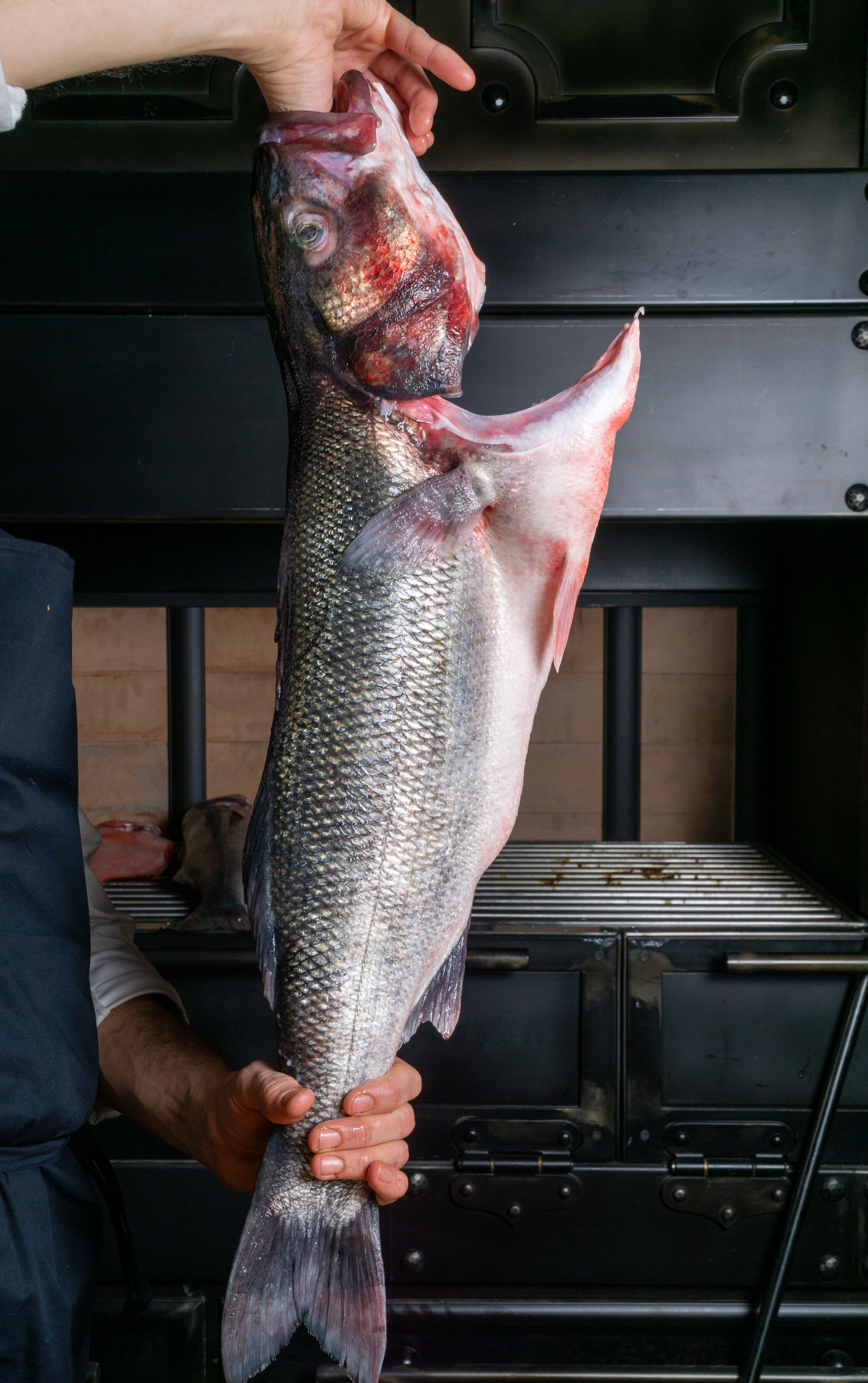 Los siete nuevos restarantes de este 2024 que querrás conocer tú mismo ...
