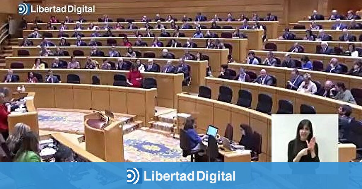M.J. Montero acusa al PP de estar "fuera de la Constitución" - Libertad Digital