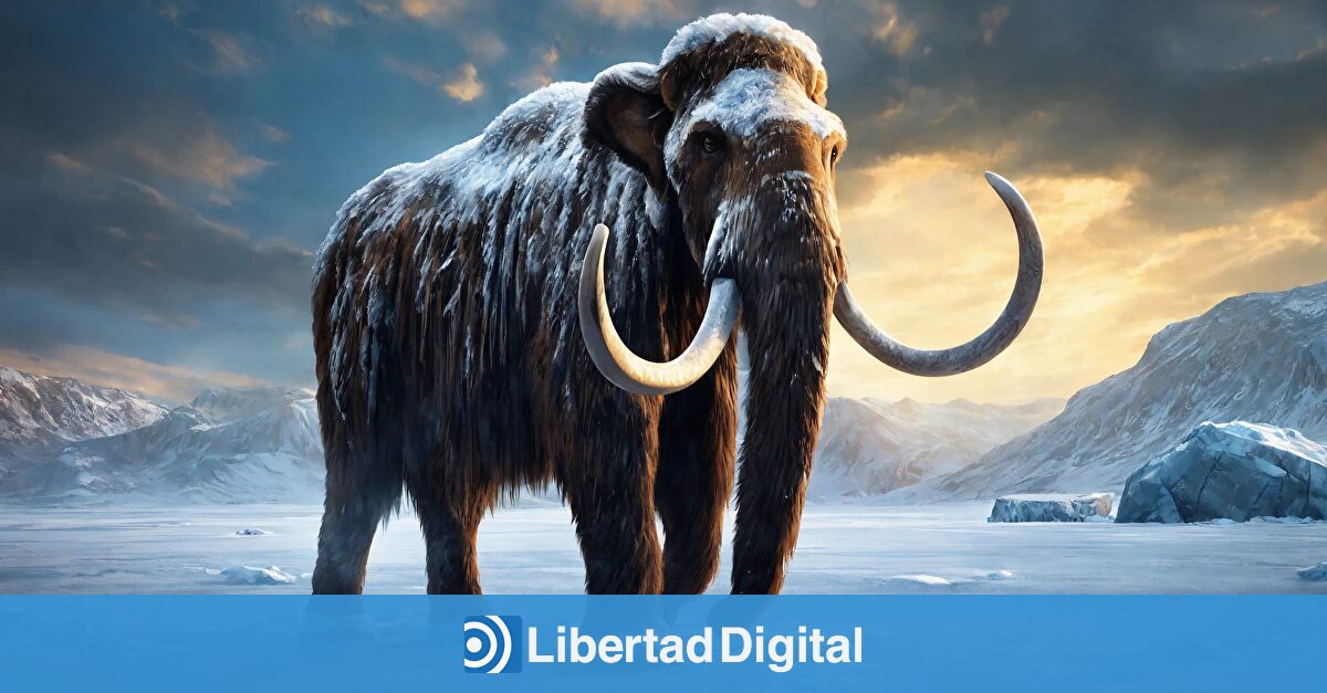 Avances hacia la desextinción del mamut - Libertad Digital