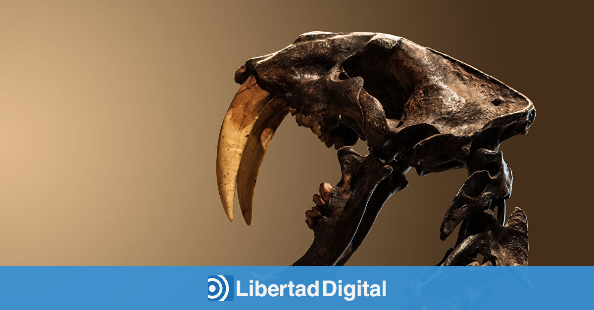 La épica historia de los mamíferos: del liliputiense que sobrevivió al ...