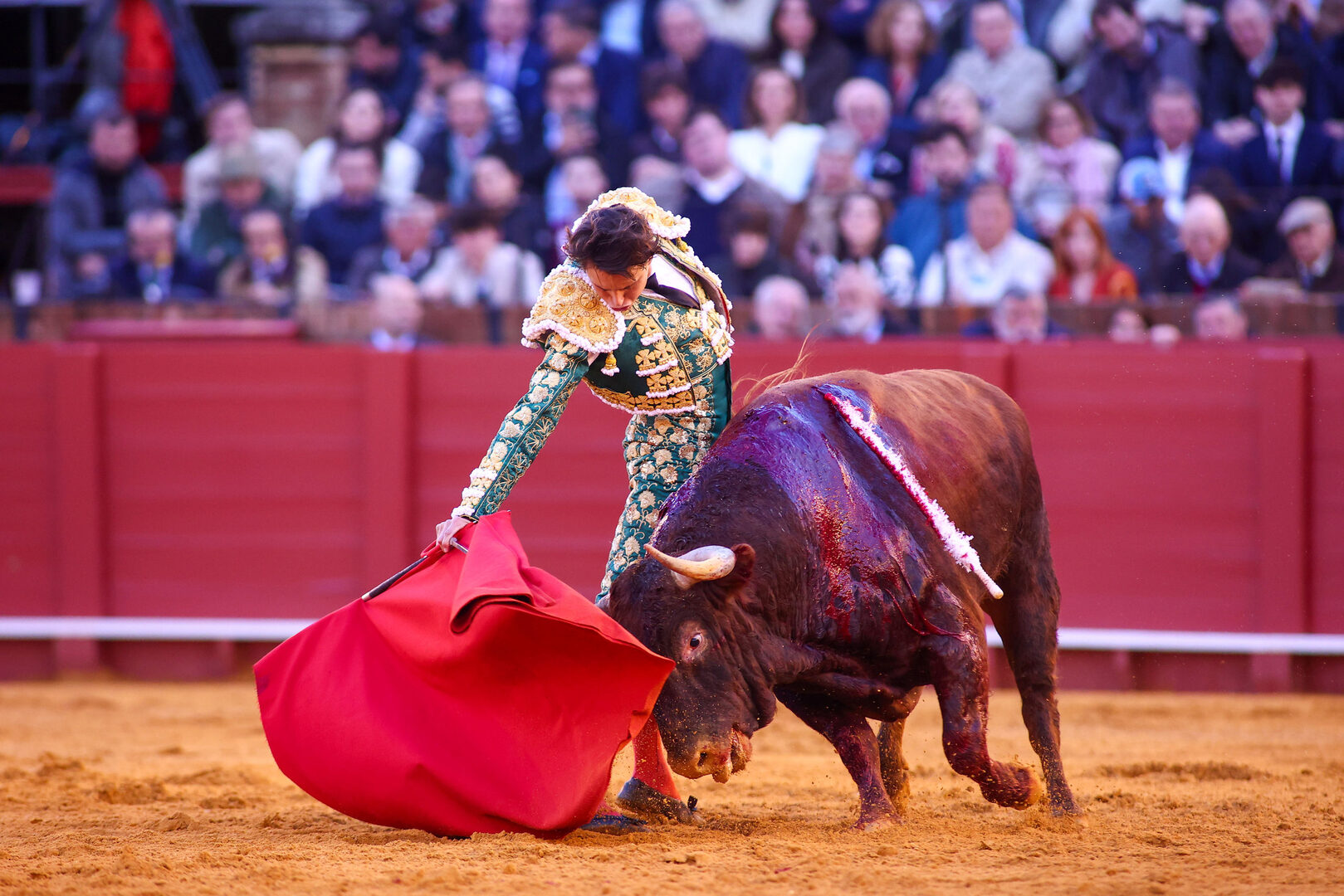 Roca Rey debuta este sábado en Valencia en la temporada taurina ...