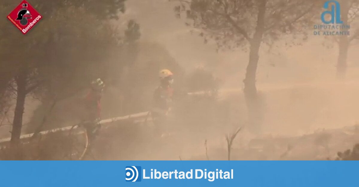Alicante Sufre Su Primer Gran Incendio De La Temporada Libertad Digital 4271