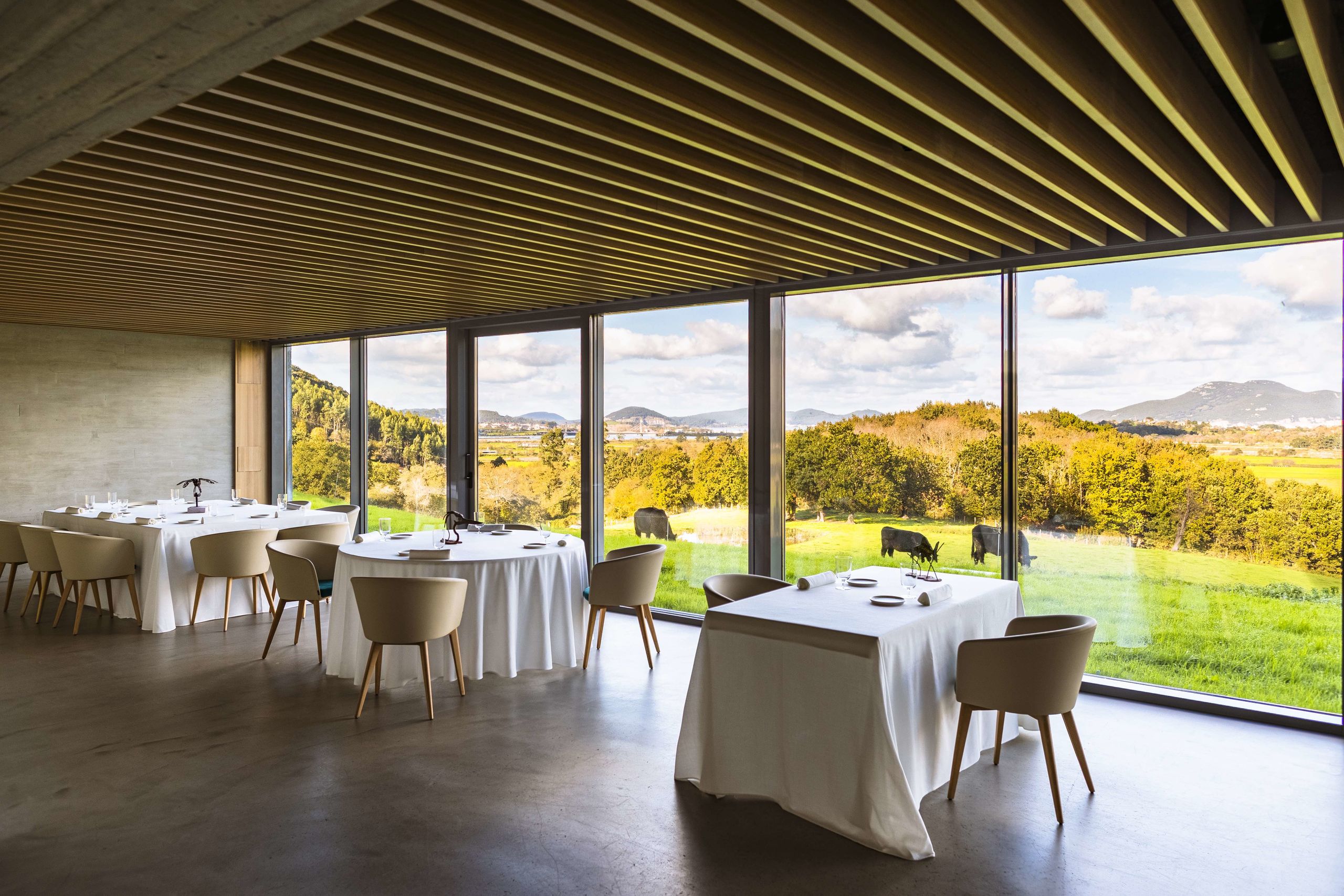 Hotel Boutique Pico Velasco, el hotel gastronómico en pleno Parque ...