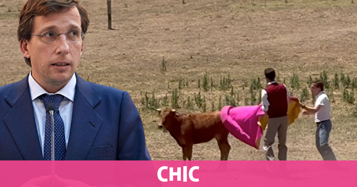 Almeida torea al alimón junto a Fernando Adrián, el triunfador de la ...