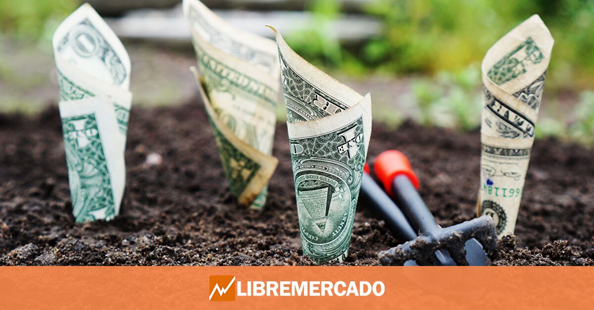 ¿Dónde invierten los más ricos del planeta? Acciones, fondos e ...